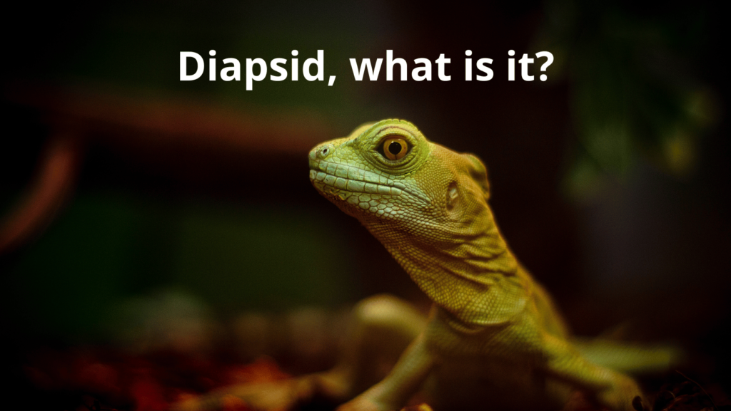 Diapsids: Evolution & Diversity of Two-Arched Skull Reptiles