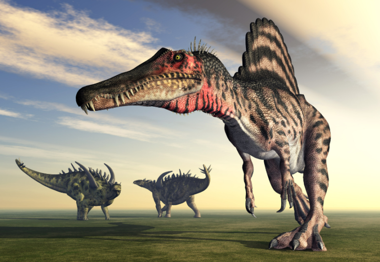 25 Types of Dinosaur Species You Should Know About