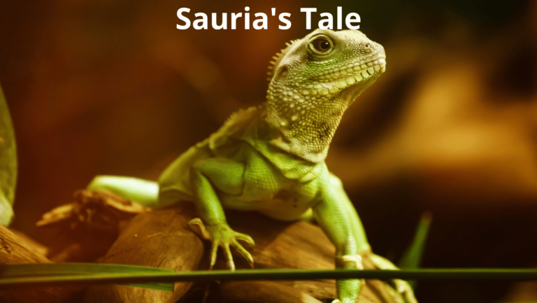 Welcome to Gekkota - facts, guides and info about geckos & reptiles